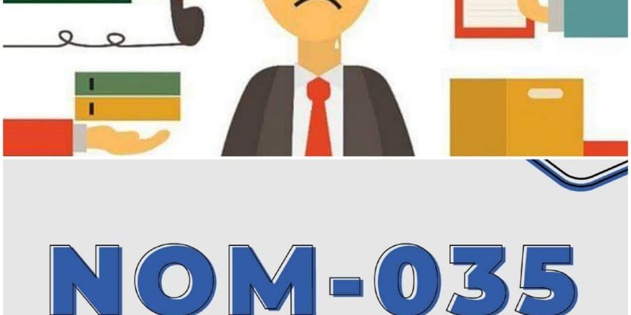 IMPORTANCIA DE LA IMPLEMENTANCIÓN DE LA NOM-035-STPS-2018 - Siccpo DC3 ...